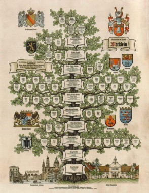 Stammbaum erstellen lassen - Ahnenforschung Pro Heraldica